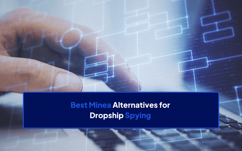 The 8 Best Minea Alternatives for Dropship Spying | Dropship